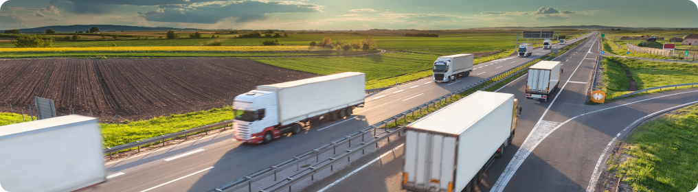 ERP-система для логистической компании